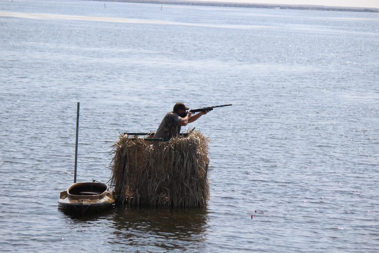 Welcome to Michigan's Pointe Mouillee Waterfowl Festival!