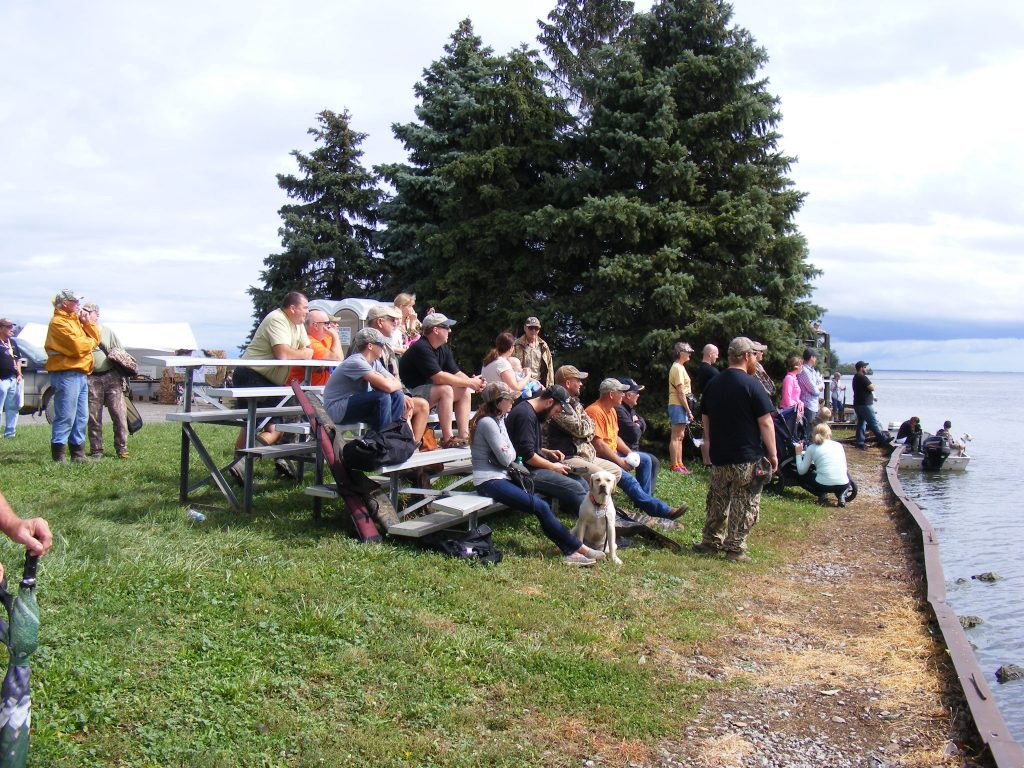 Welcome to Michigan's Pointe Mouillee Waterfowl Festival!